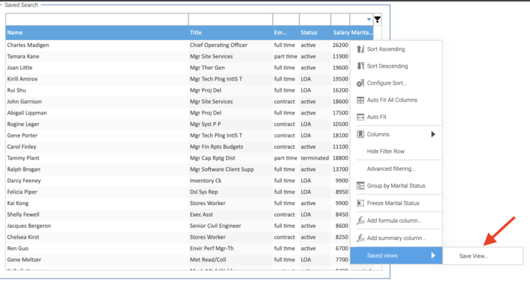 How to use Saved Search Feature on Grids in SmartClient